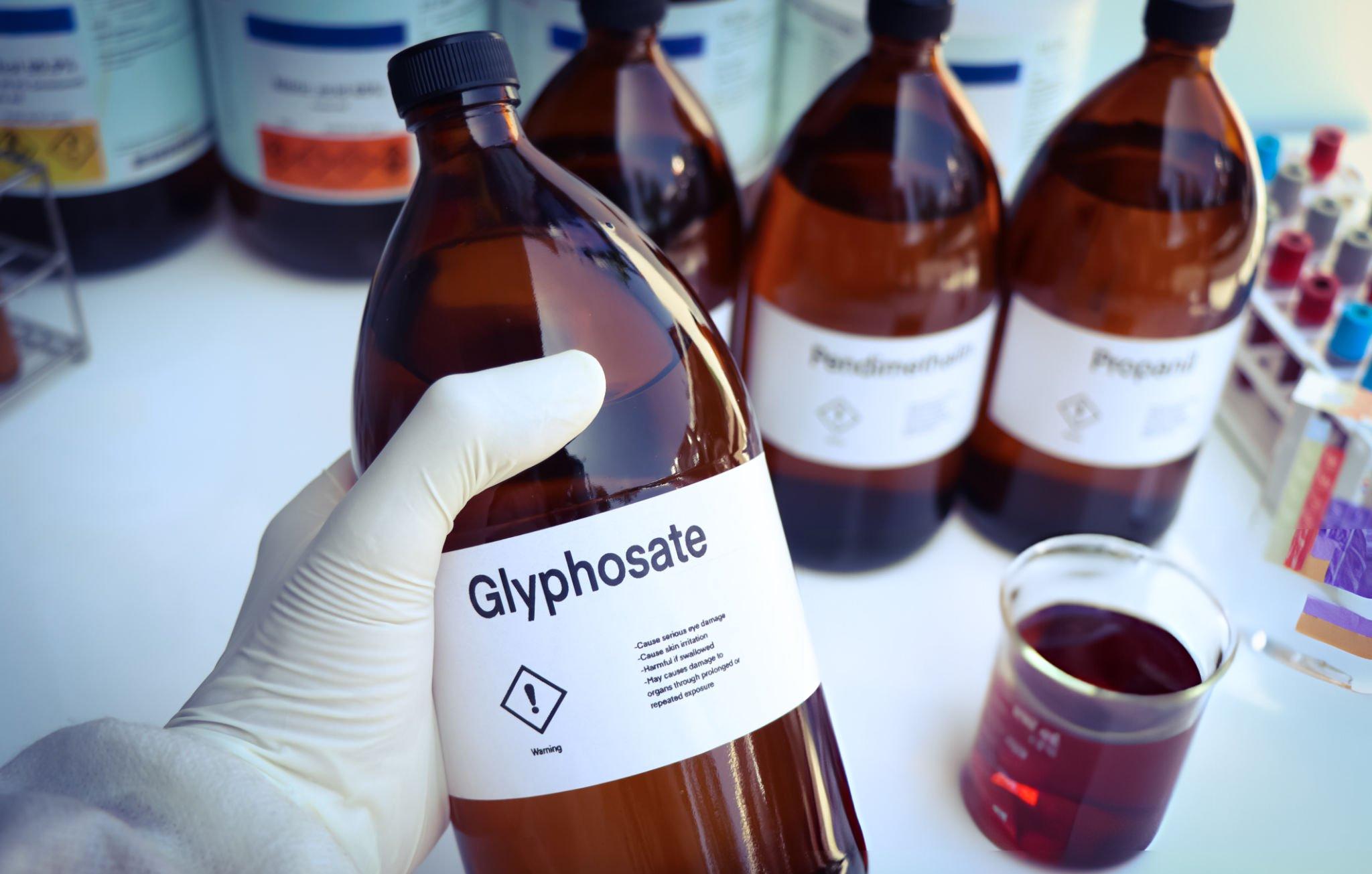Cara Efektif Menggunakan Glyphosate Untuk Meningkatkan Produktivitas ...